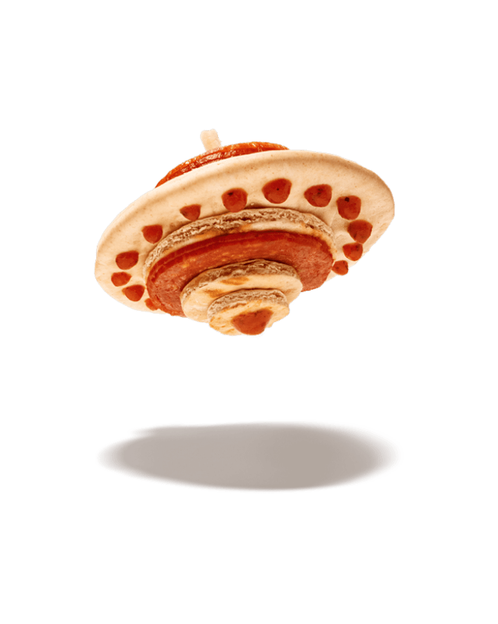 UFO | Lunchables