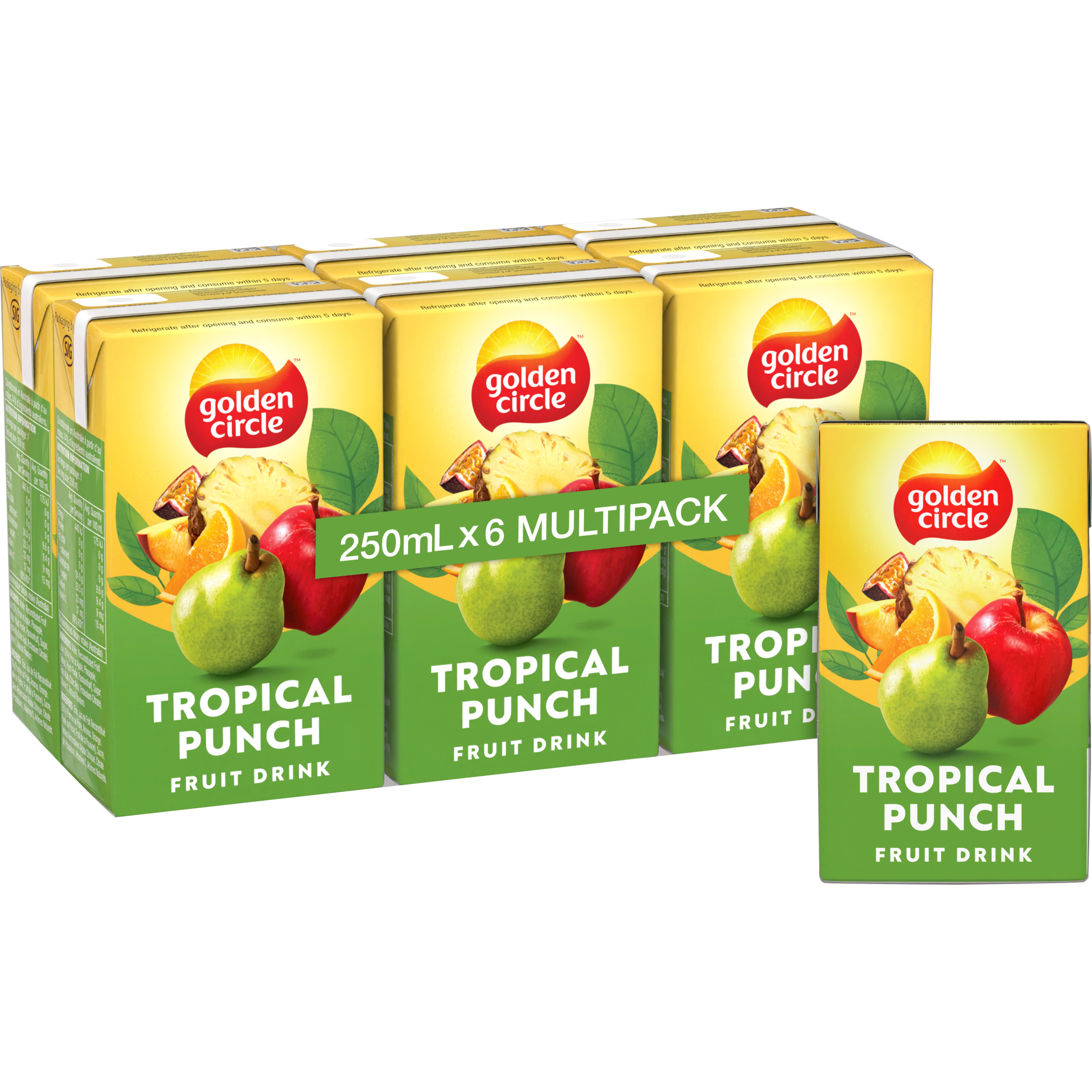 Golden Circle® Tropical Punch Fruit Drink 6x250mL | Golden Circle ...