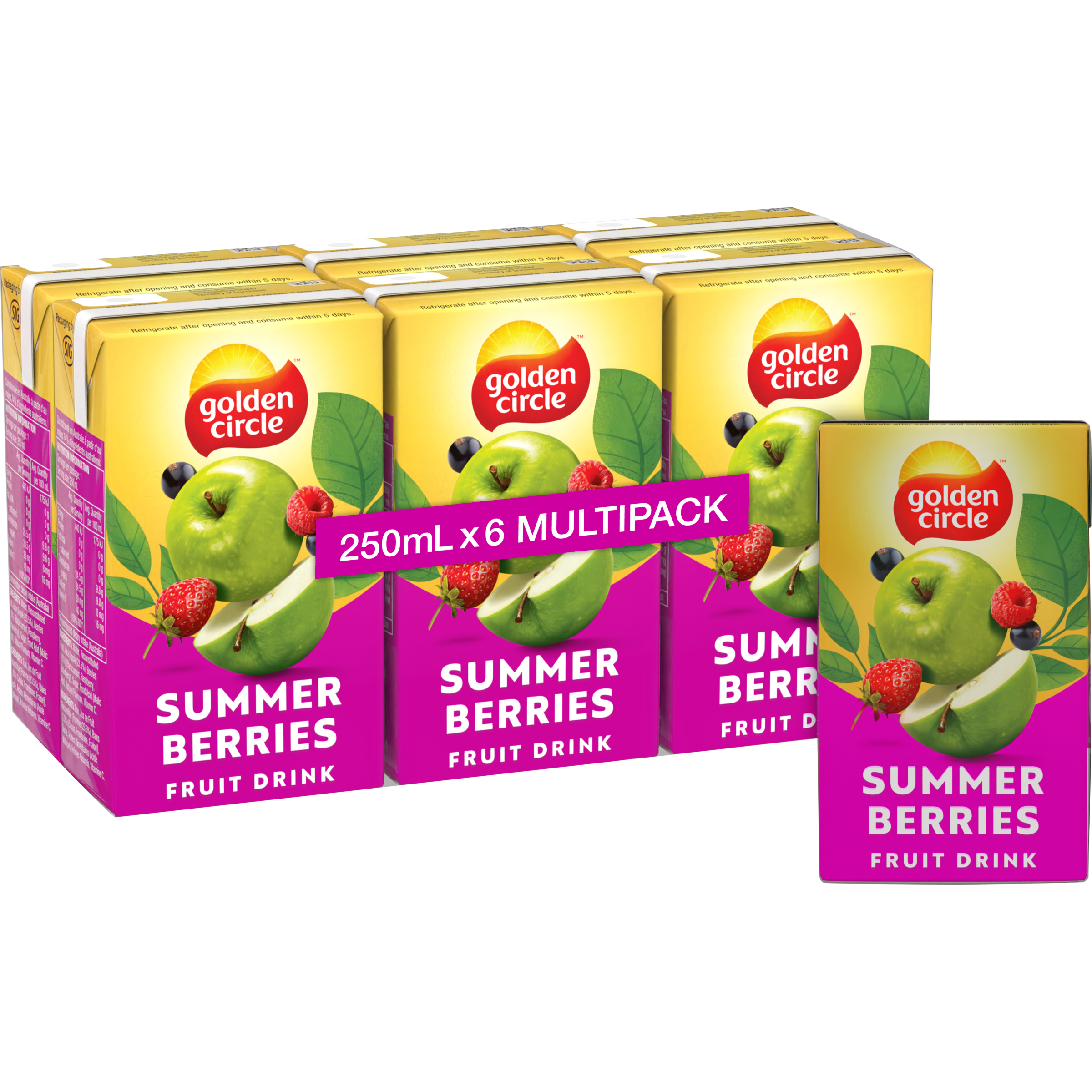 Golden Circle® Summer Berries Fruit Drink 6x250mL | Golden Circle ...