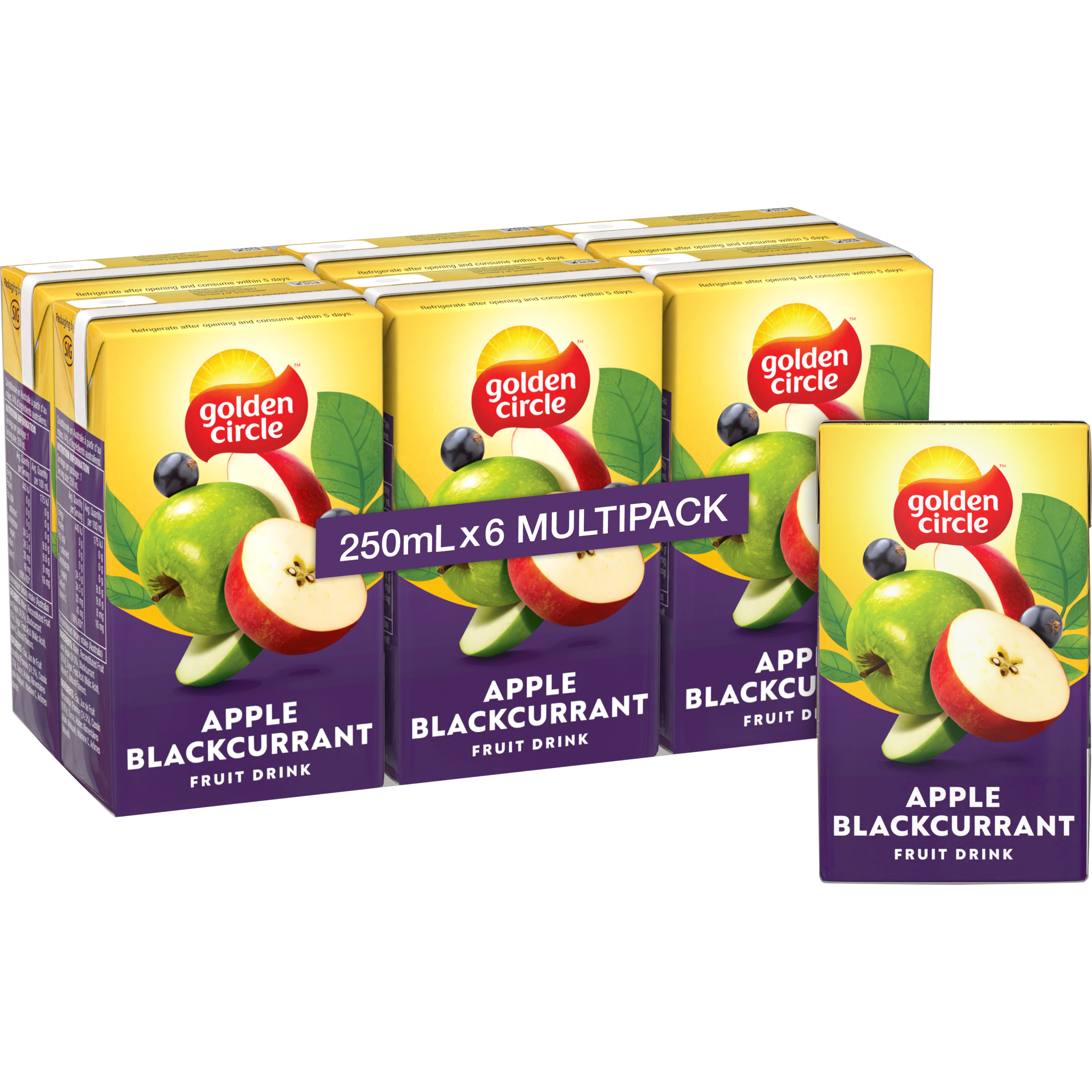 Golden Circle® Apple Blackcurrant Fruit Drink 6x250mL | Golden Circle ...